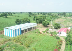 Our Cows | Gir Gaushala in India | Hariba Dairy Farm