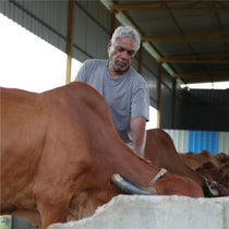 Our Farm | Organic Products Online | Hariba Dairy Farm